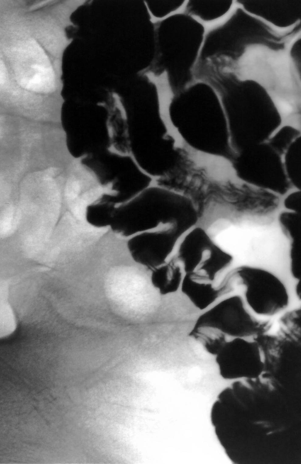 Photography - UCA Student Showcase