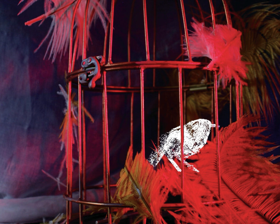 Ba Hons Animation Uca Student Showcase