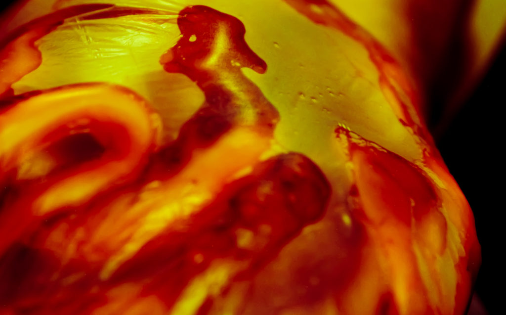 Amelia Griffiths | Fine Art - UCA Student Showcase