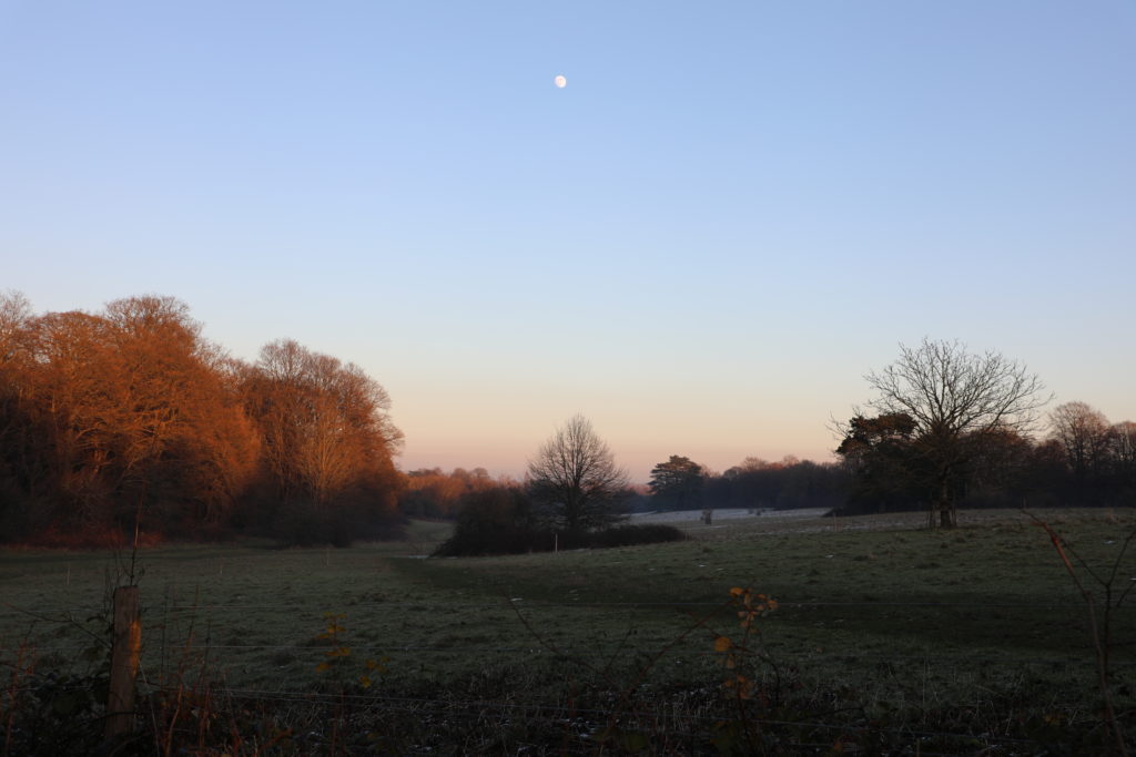 Grace Ribeiro | Photography - UCA Student Showcase