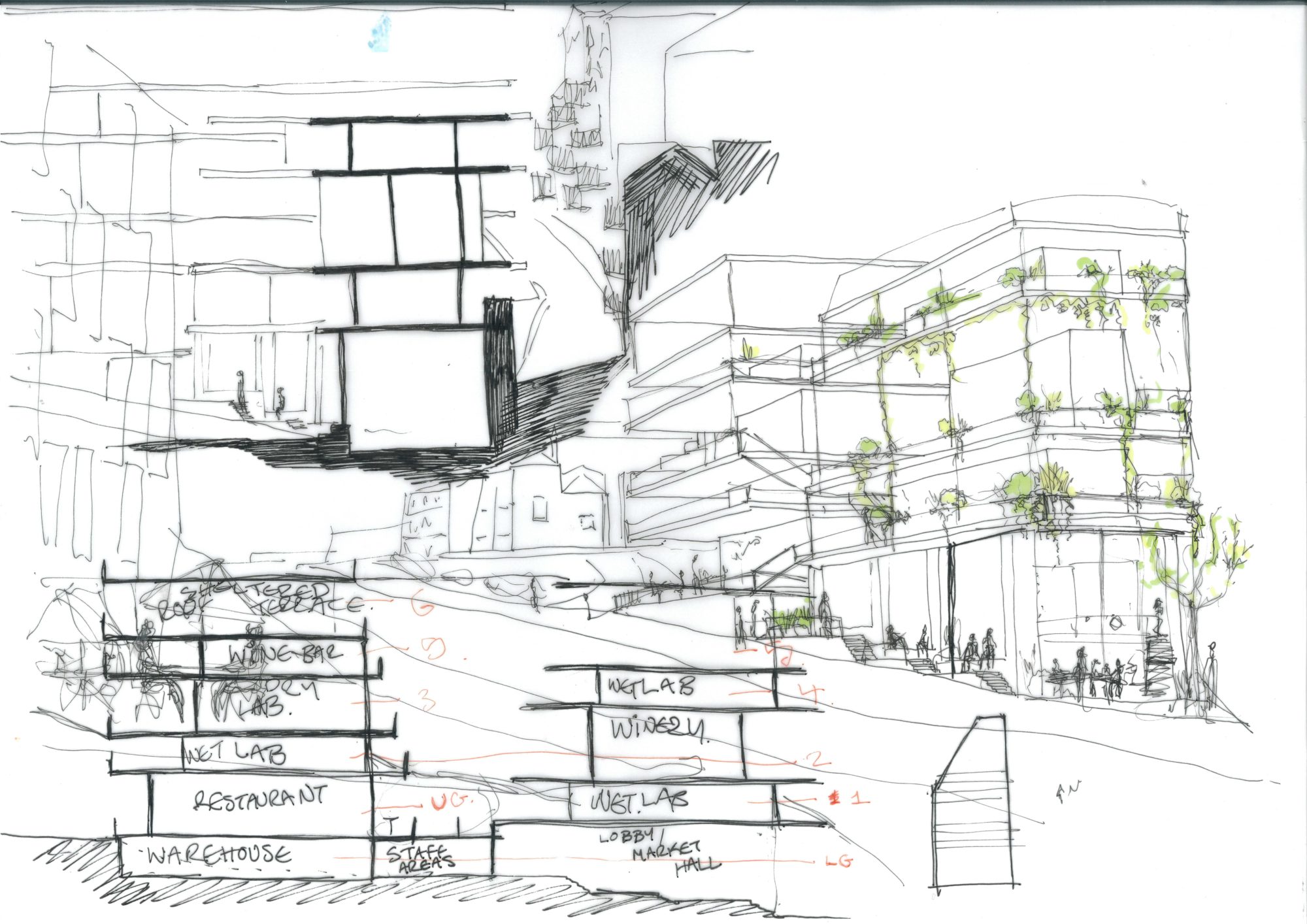 Lilly Andrews | Architecture - UCA Student Showcase